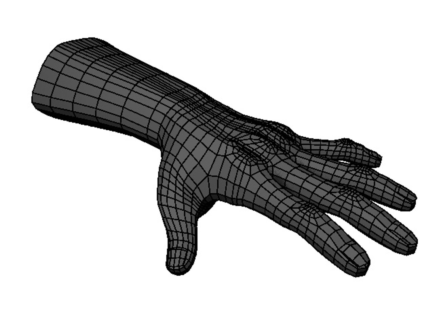 Hand 3d Model