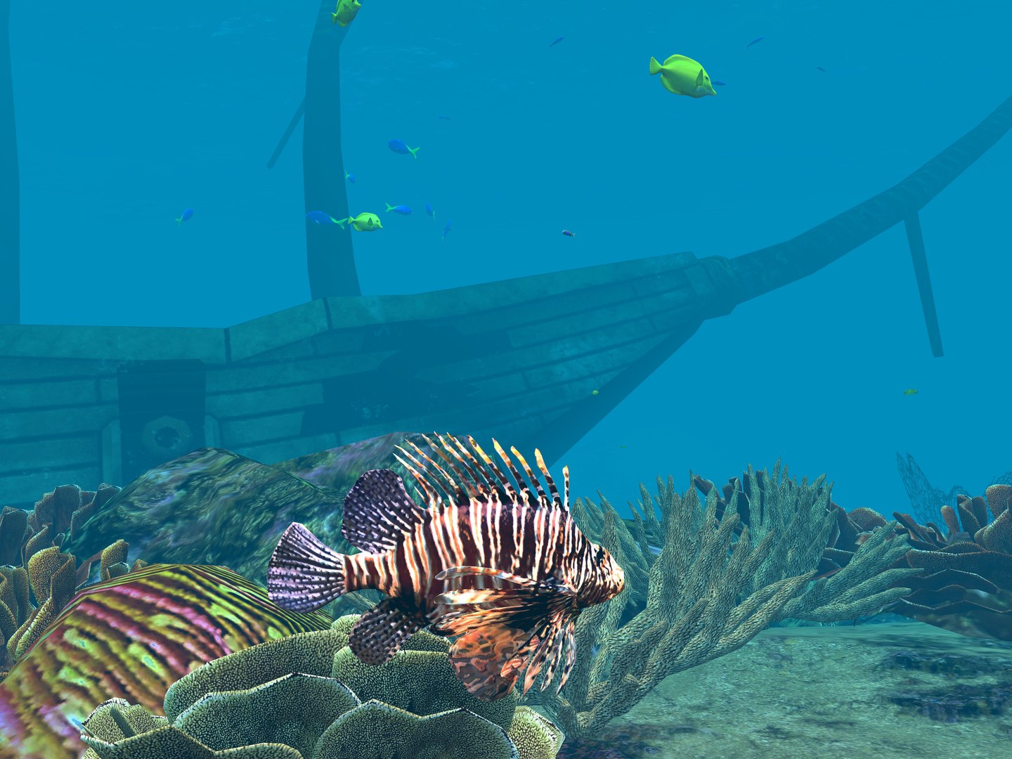 3d Model Of Coral Reef Fish