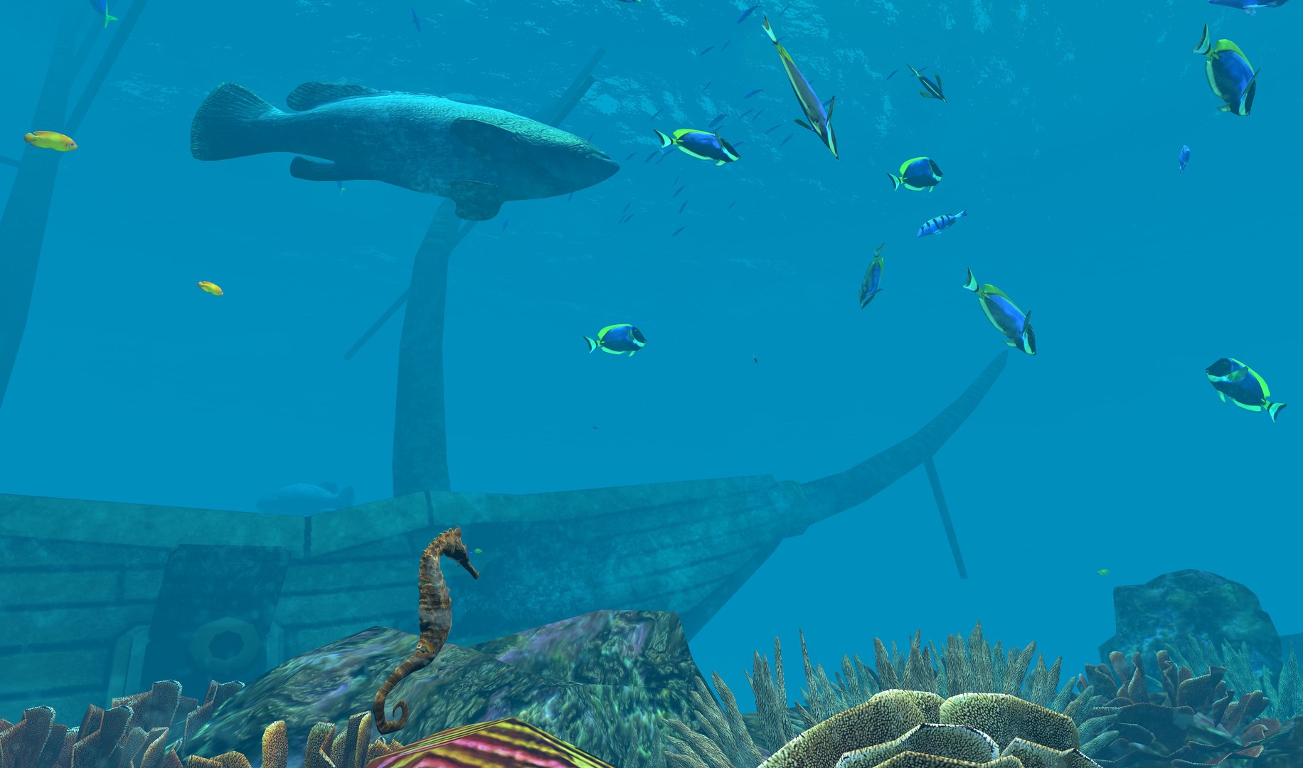 3d model of coral reef fish