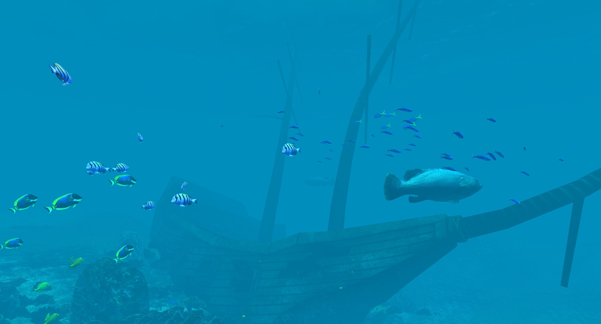 3d model of coral reef fish