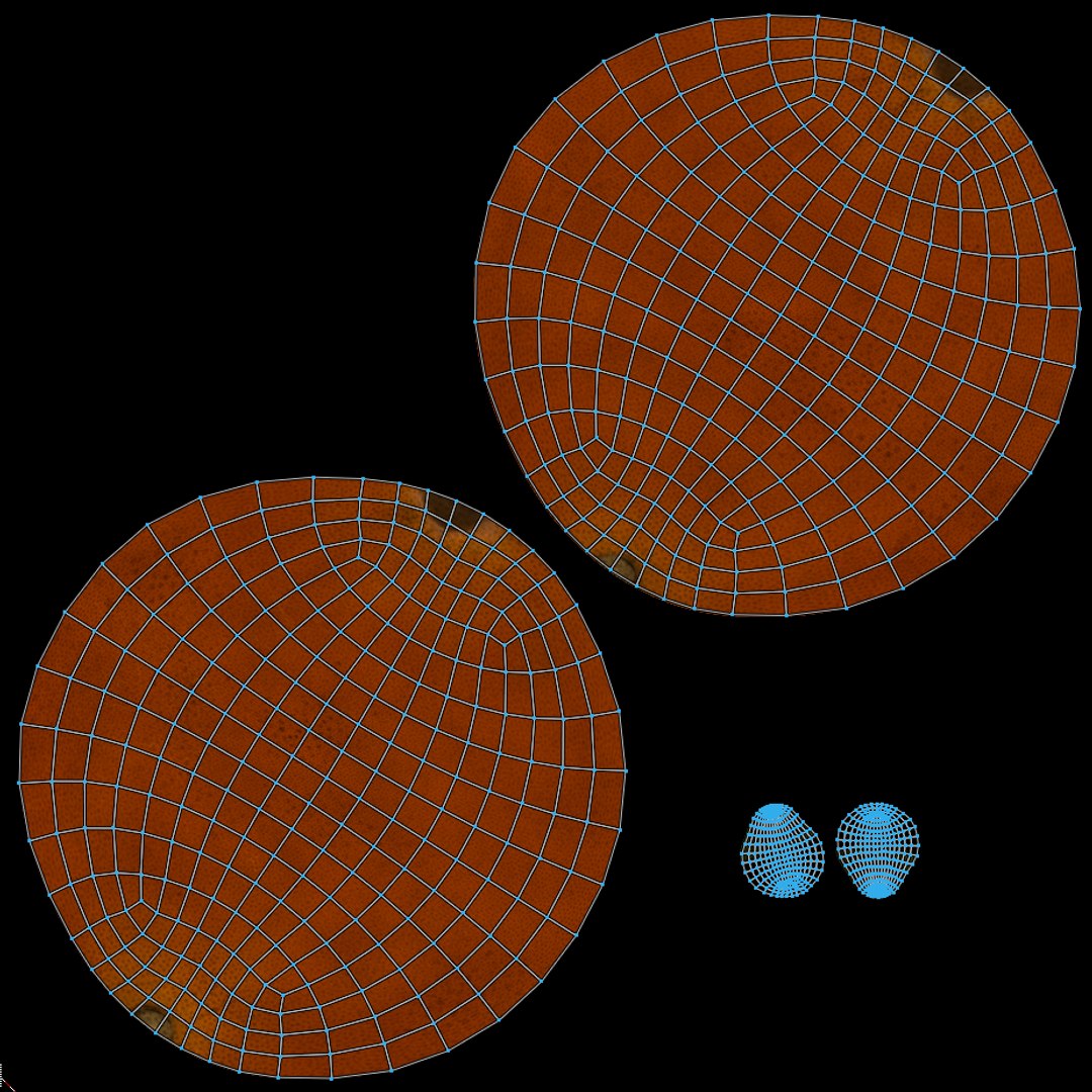 3D Model Orange Realistic Pbr - TurboSquid 1419262