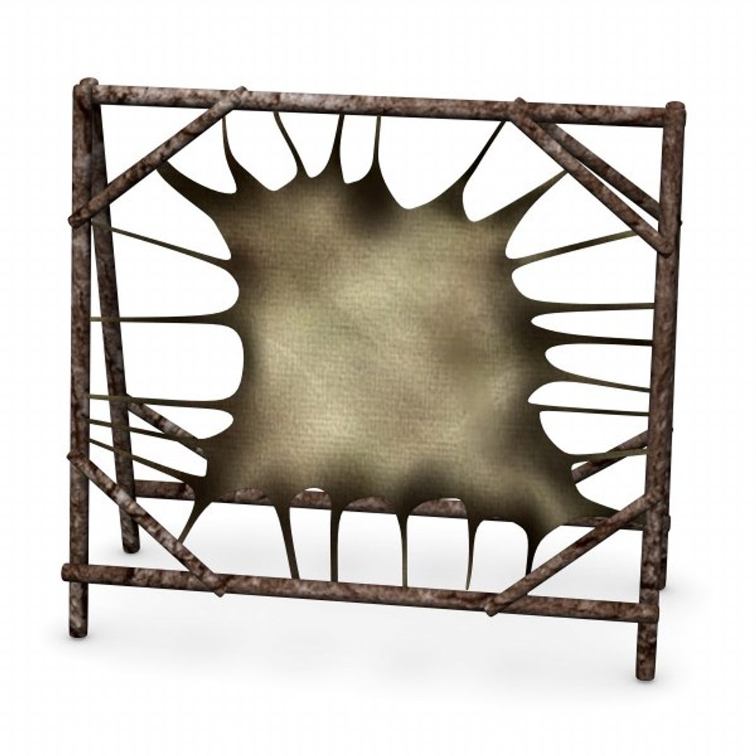 3d model bear skin bearskin