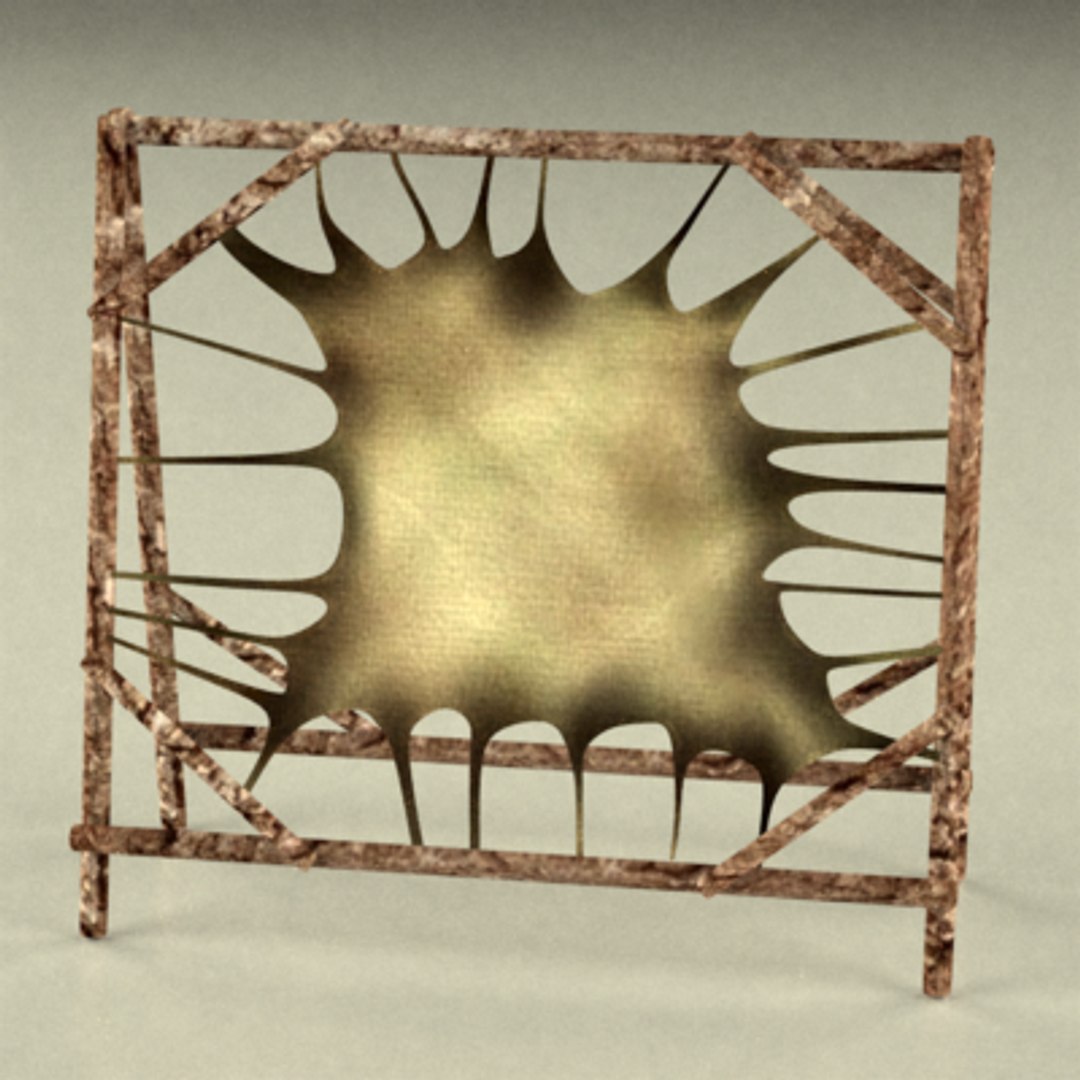 3d Model Bear Skin Bearskin