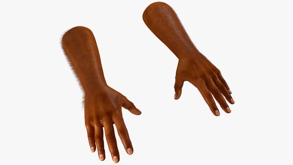 modelo 3d Manos humanas realistas de hombre con pelaje - TurboSquid 2384498
