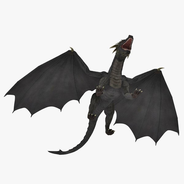 Rigged Dragon 3D Models for Download | TurboSquid