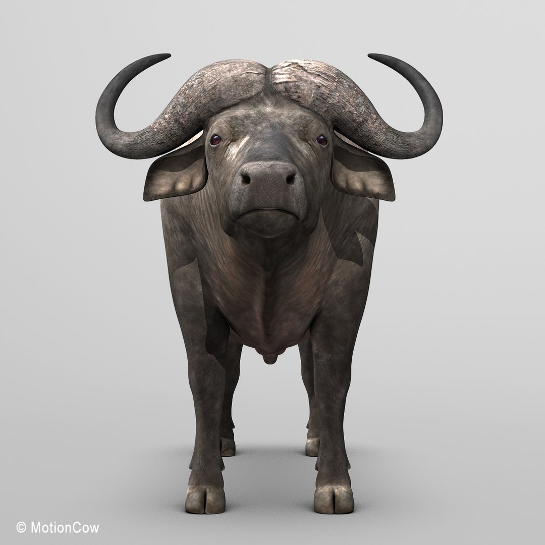 Realistic Cape 3d Max