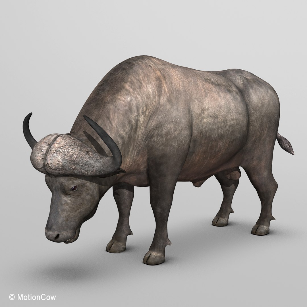 Realistic Cape 3d Max