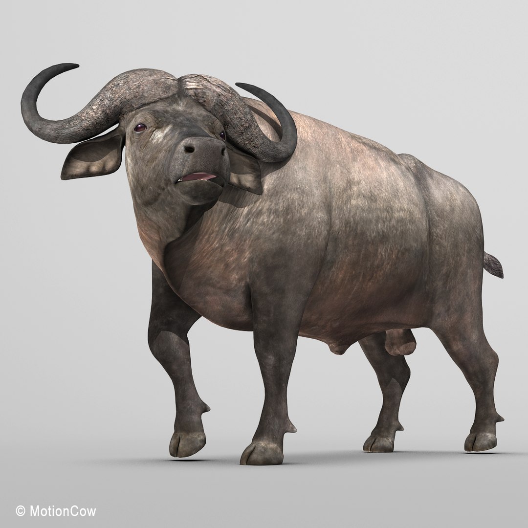 Realistic Cape 3d Max