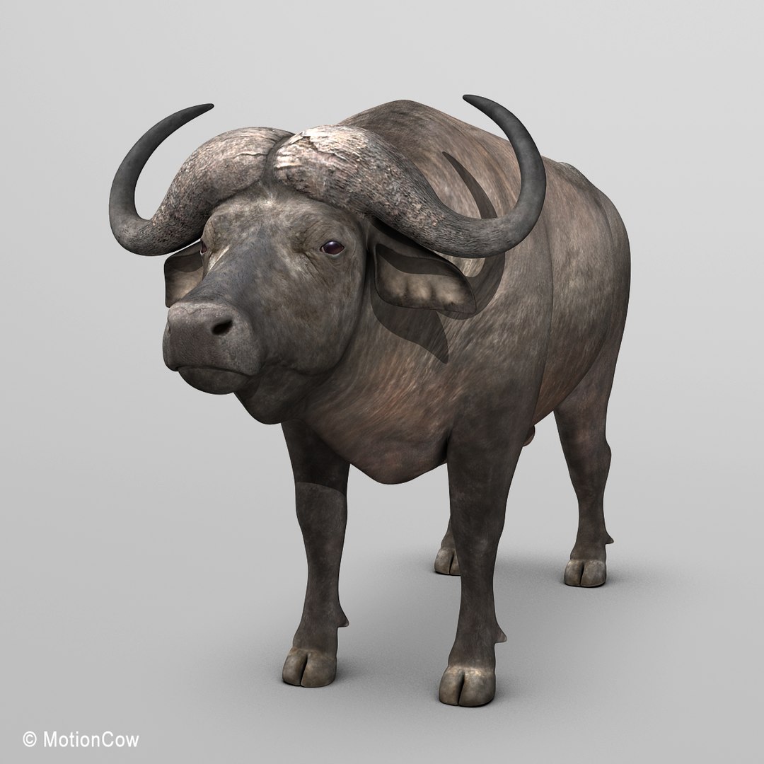 Realistic Cape 3d Max