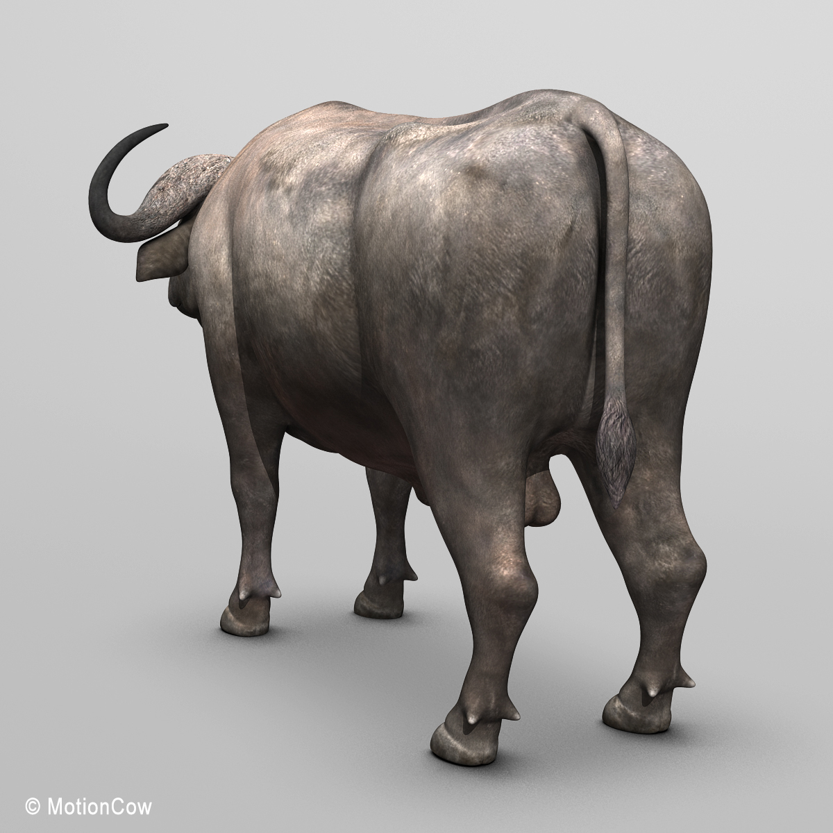 realistic cape 3d max