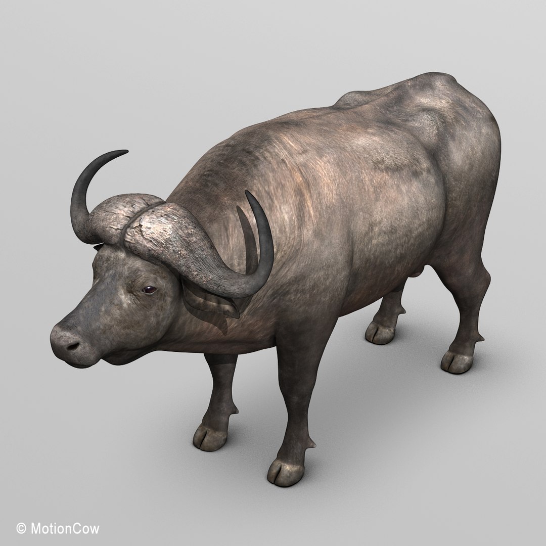 Realistic Cape 3d Max