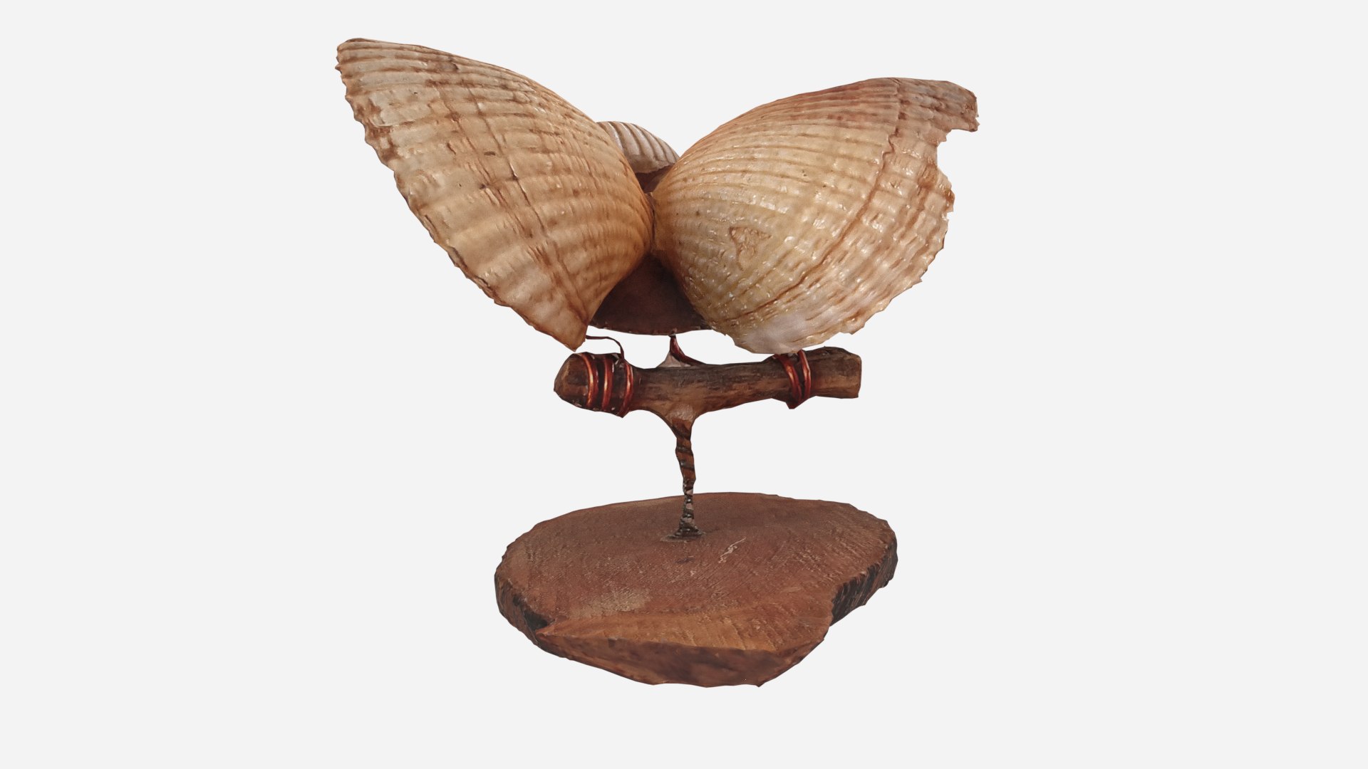 Bird Souvenir 3D Model - TurboSquid 1493220