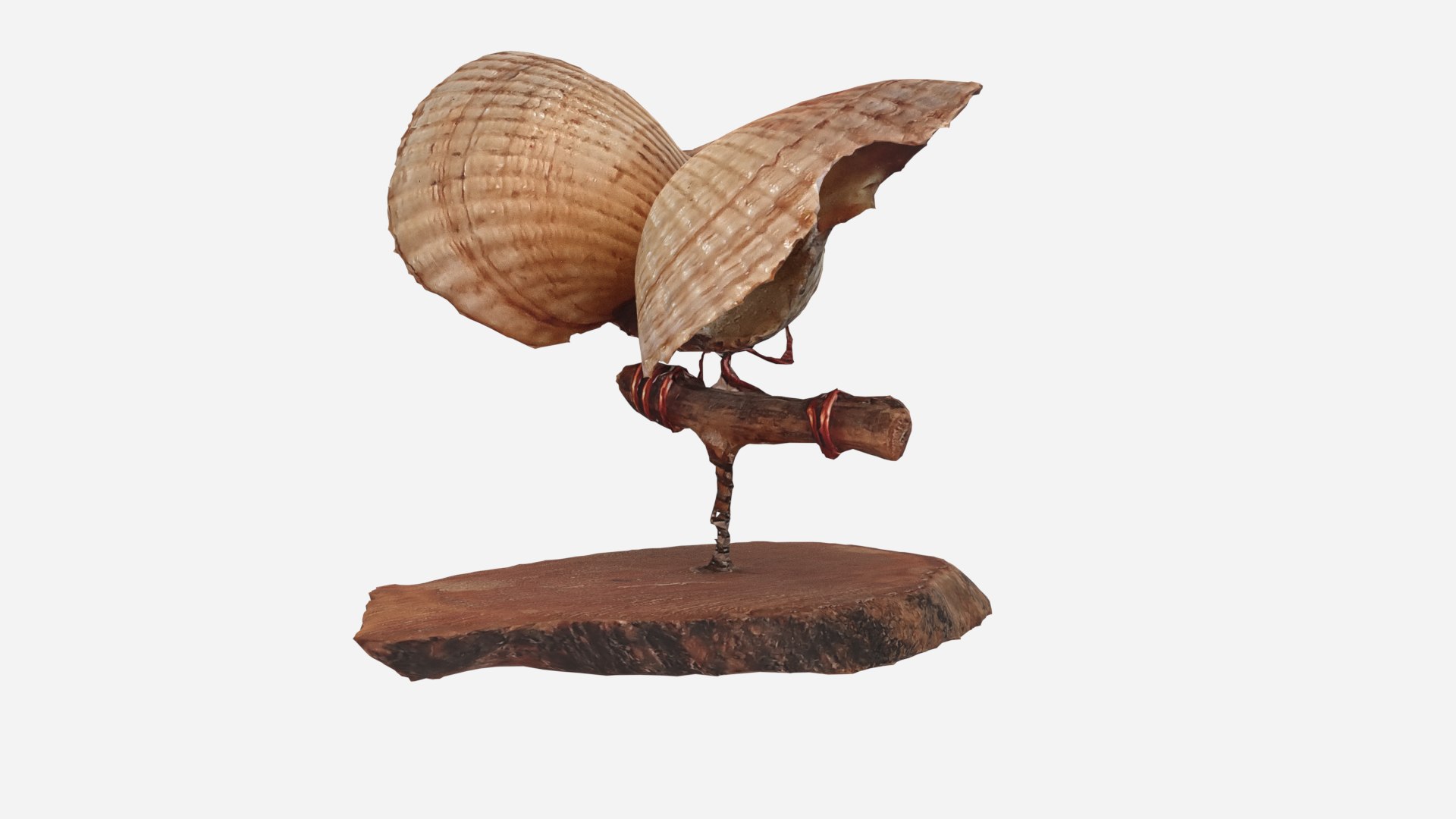 Bird Souvenir 3D Model - TurboSquid 1493220