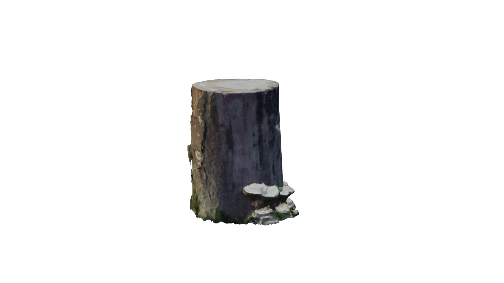Photoscanned logs model - TurboSquid 2010008