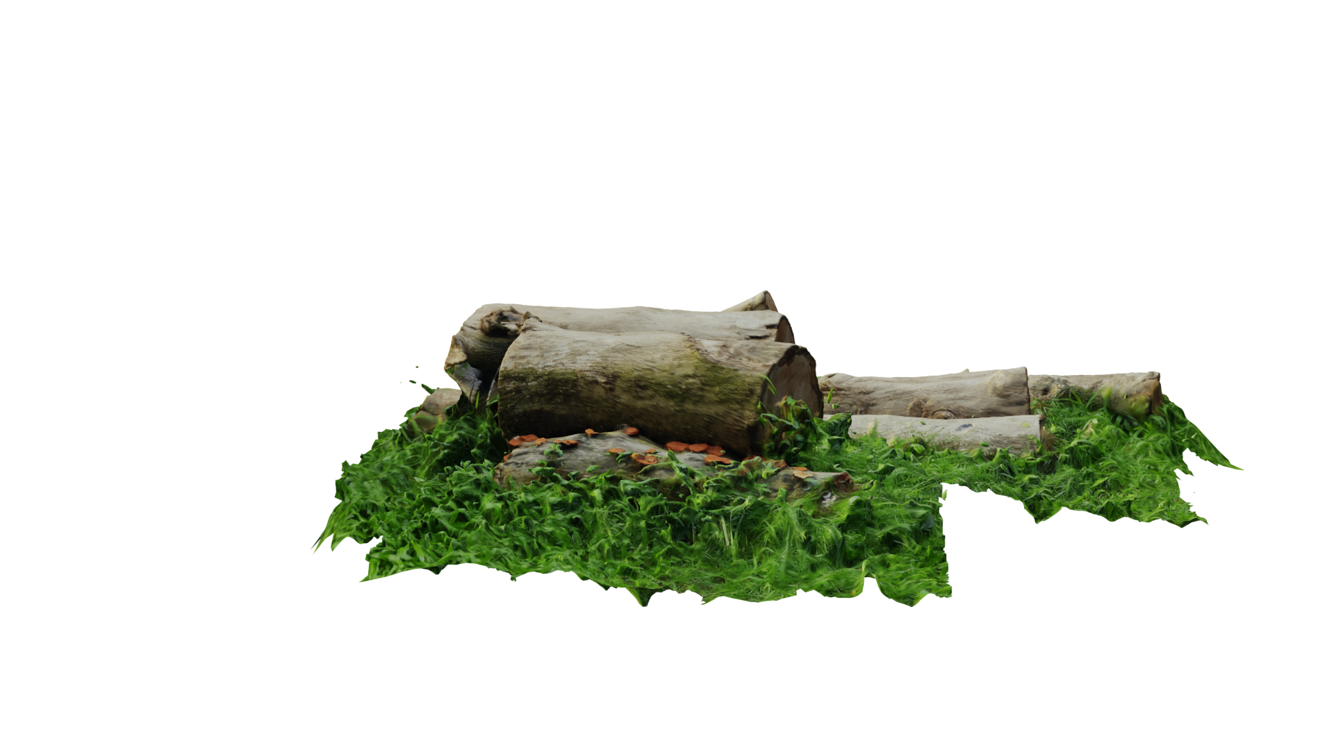 Photoscanned logs model - TurboSquid 2010008