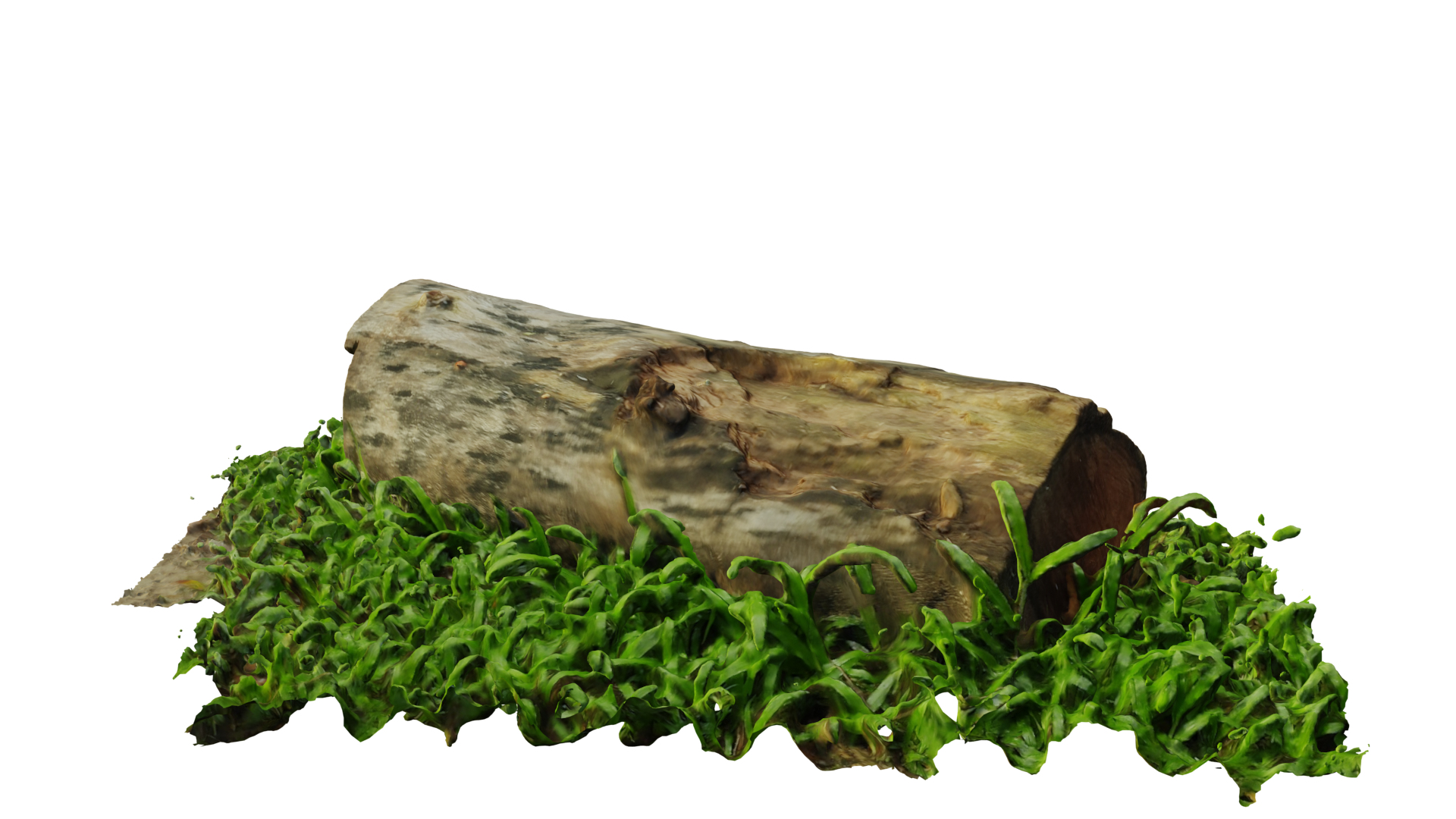 Photoscanned logs model - TurboSquid 2010008