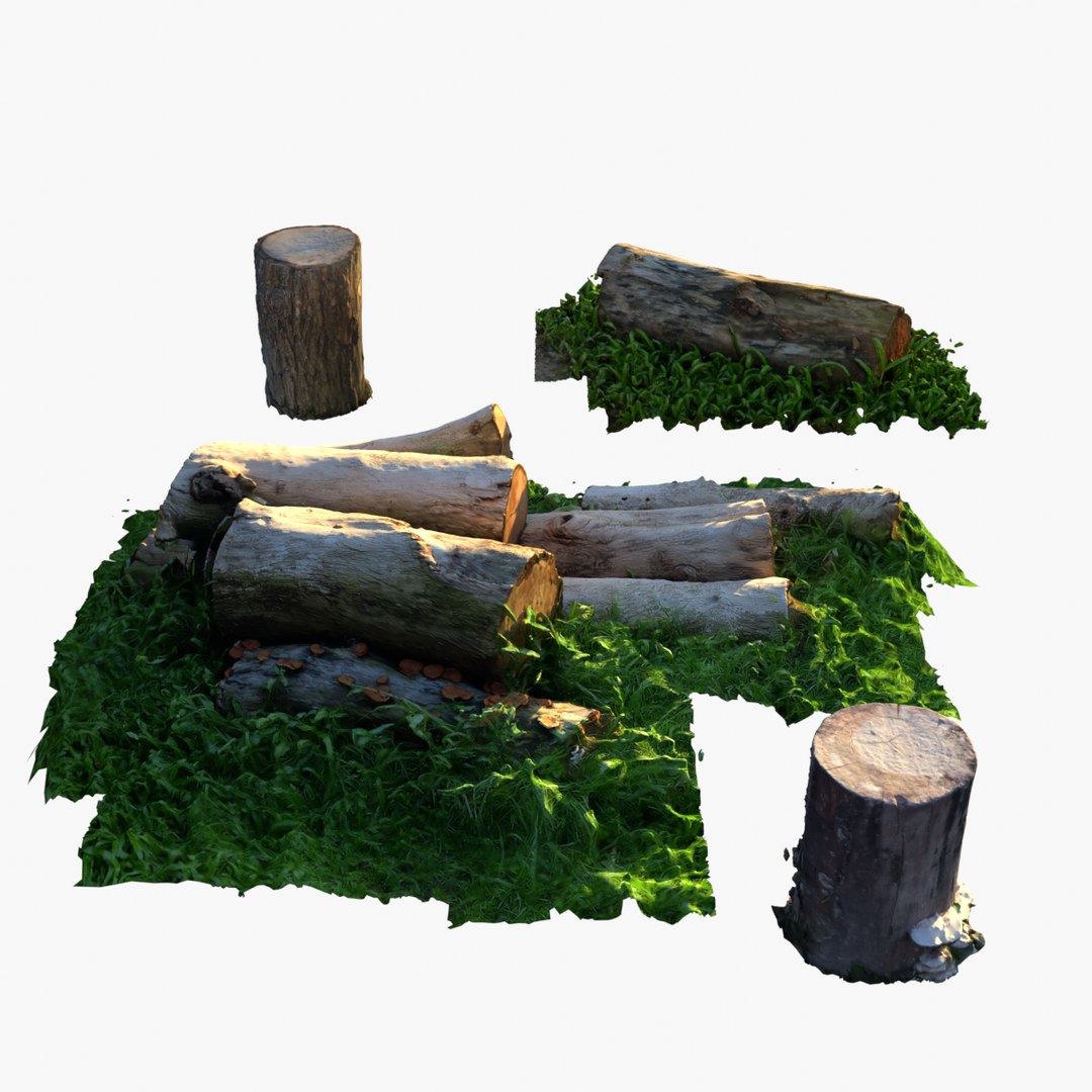 Photoscanned logs model - TurboSquid 2010008