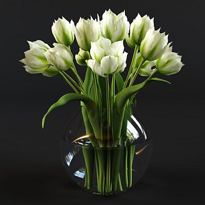 Tulip 3D Models for Download | TurboSquid