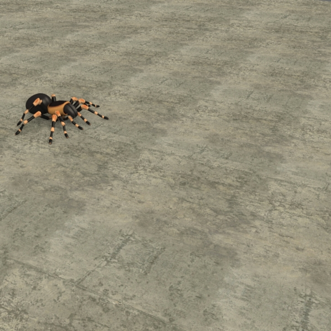 3d Mexican Tarantula Animation Model