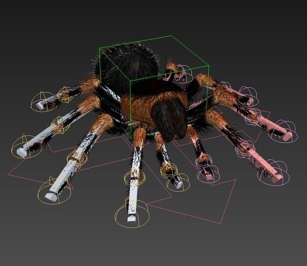 modelo 3d Tarántula ANIMADA - TurboSquid 943947
