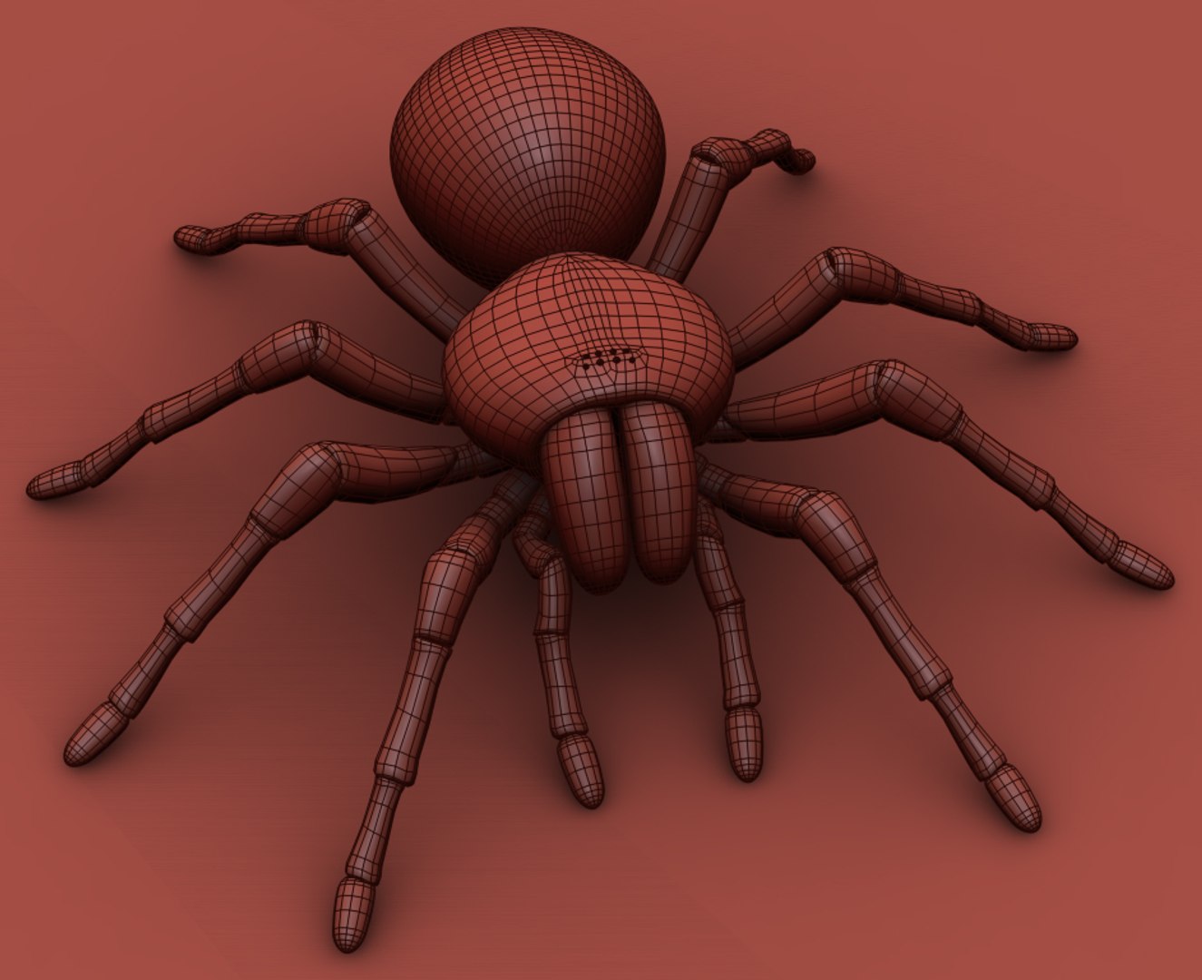 3d Mexican Tarantula Animation Model