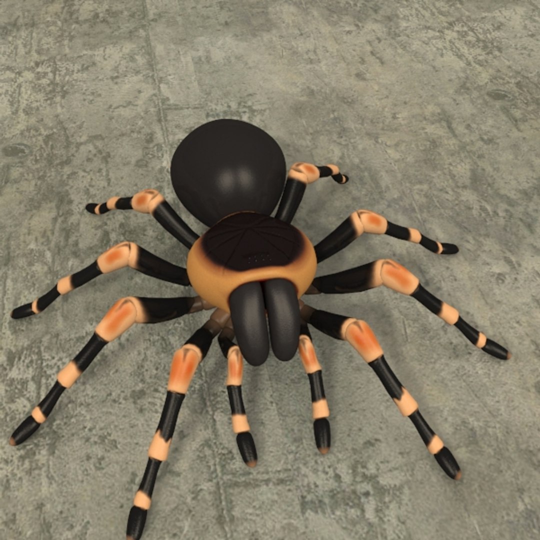 3d Mexican Tarantula Animation Model