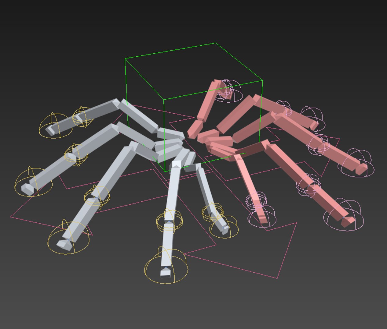 3d Mexican Tarantula Animation Model