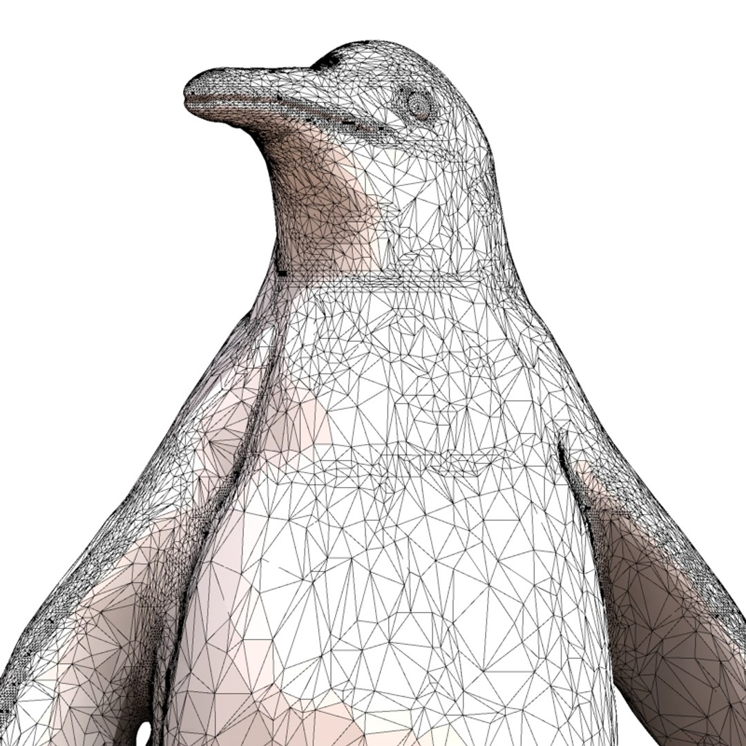 Penguin 3d Max