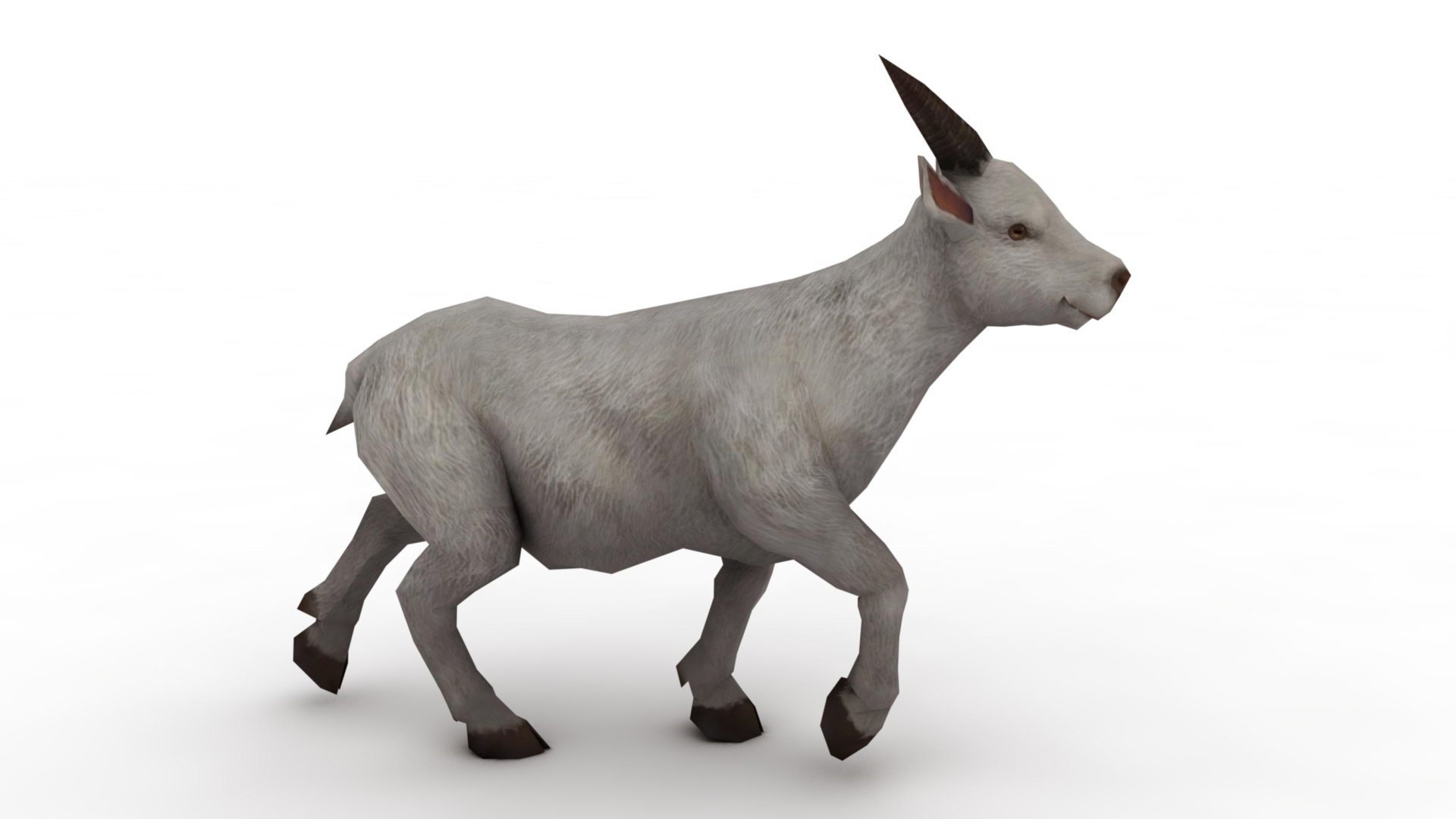 3D Goat - TurboSquid 2303301
