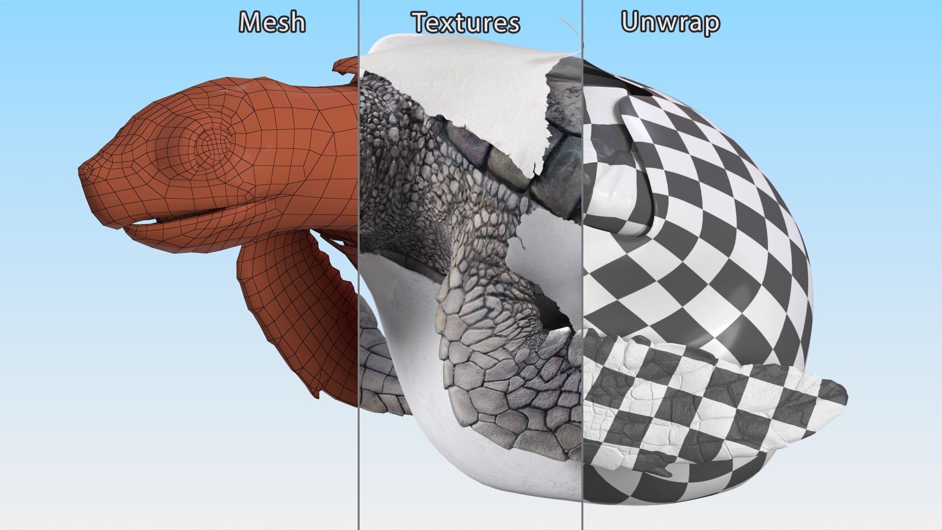 3D Sea Turtle Hatchling Emerging From Egg - TurboSquid 2202574