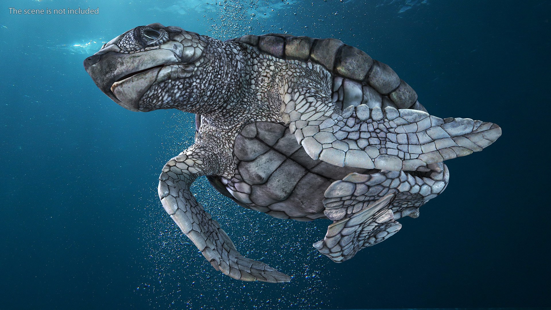 3D Sea Turtle Hatchling Emerging From Egg - TurboSquid 2202574