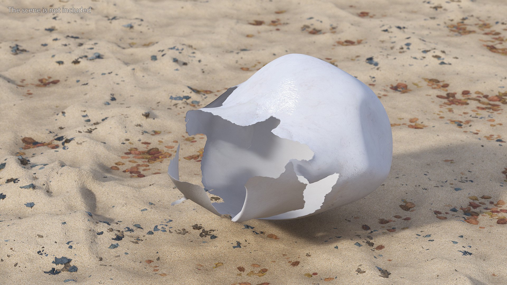 3D Sea Turtle Hatchling Emerging From Egg - TurboSquid 2202574