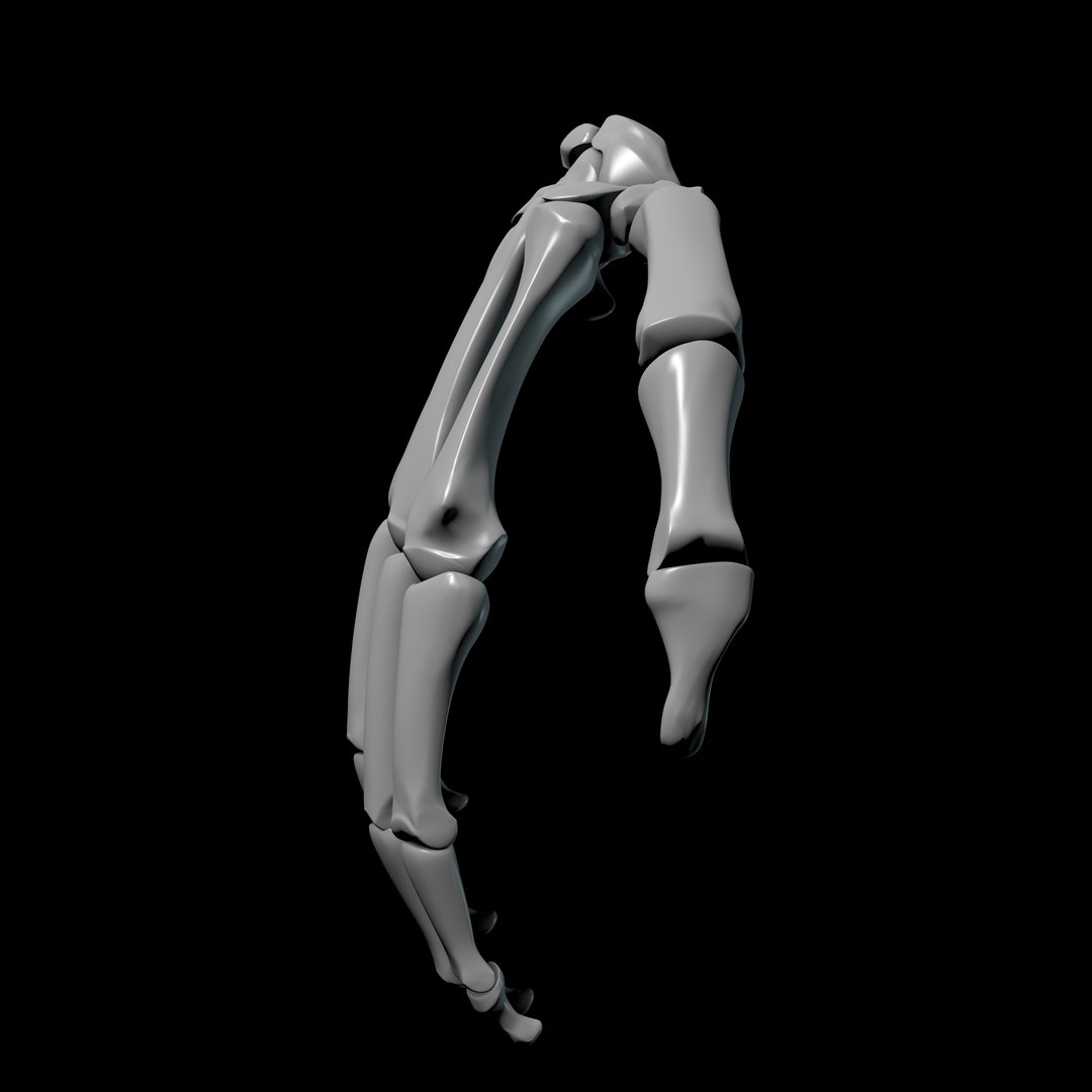 3D Hand Bone - TurboSquid 1427393