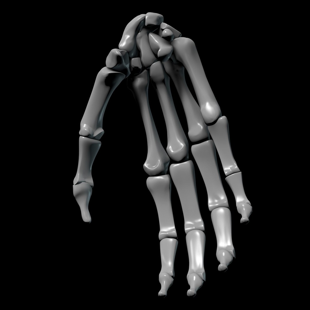 3D Hand Bone - TurboSquid 1427393