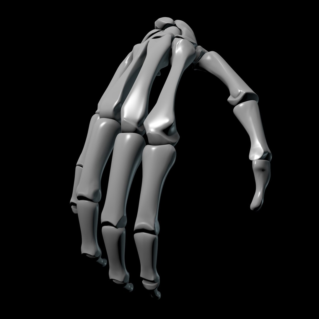3D Hand Bone - TurboSquid 1427393