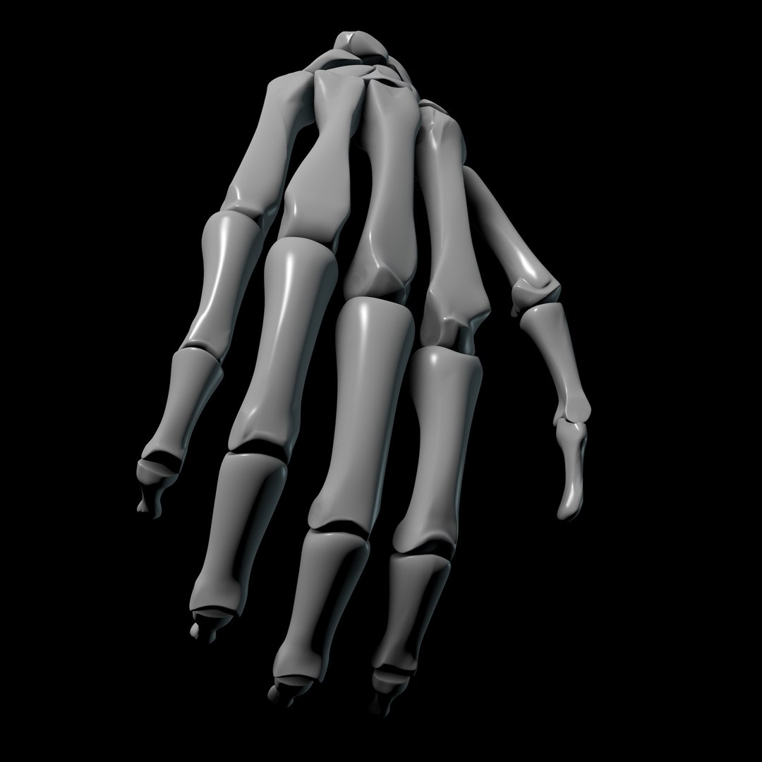 3D Hand Bone - TurboSquid 1427393