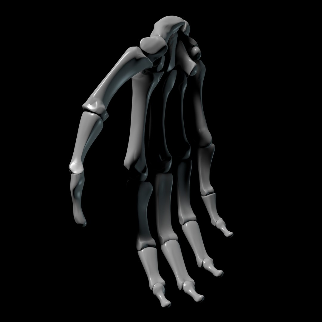 3D Hand Bone - TurboSquid 1427393