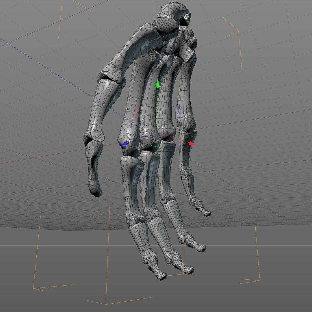 3D Hand Bone - TurboSquid 1427393