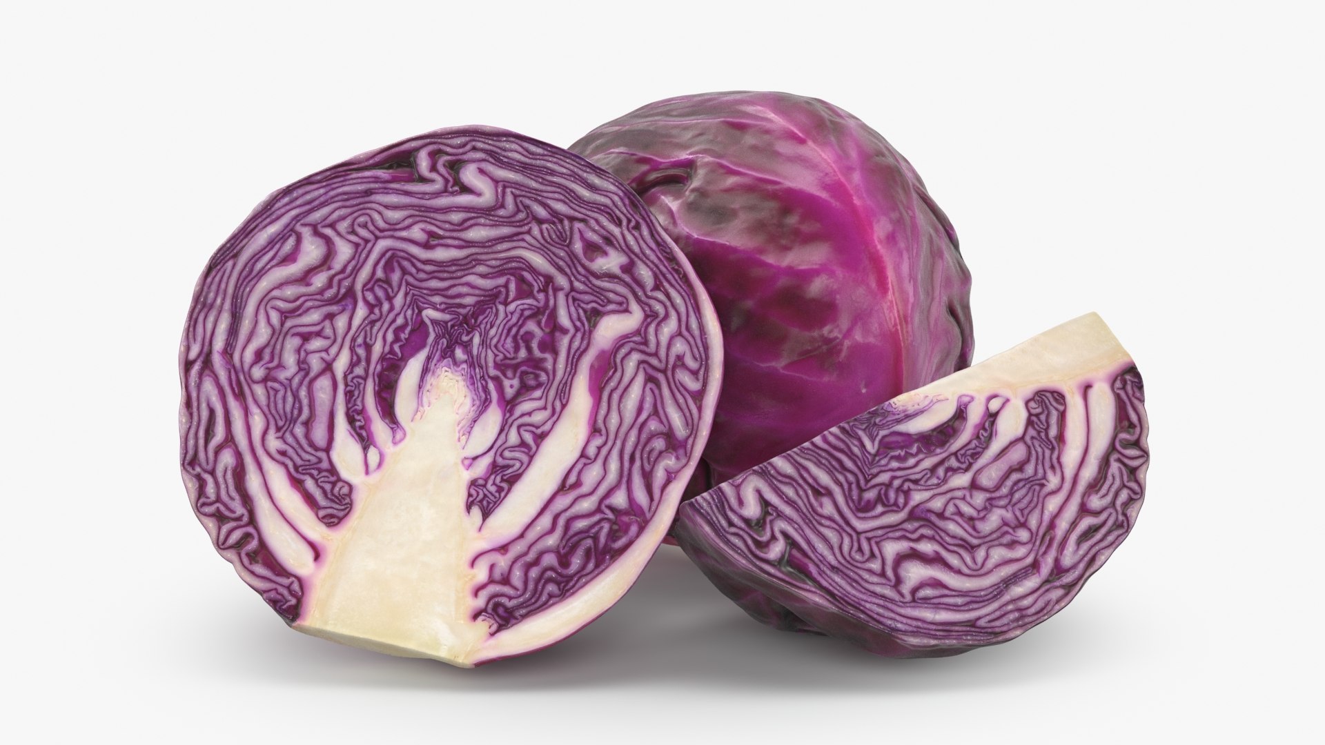 Red Cabbage 2 3D Model - TurboSquid 2130787