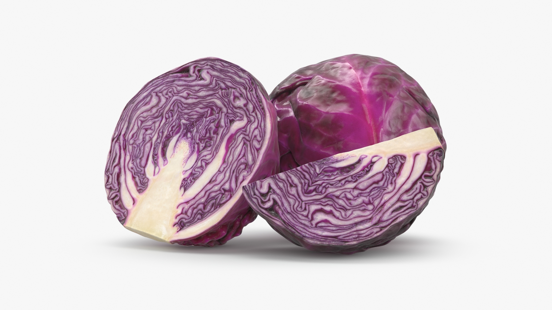 Red Cabbage 2 3D Model - TurboSquid 2130787