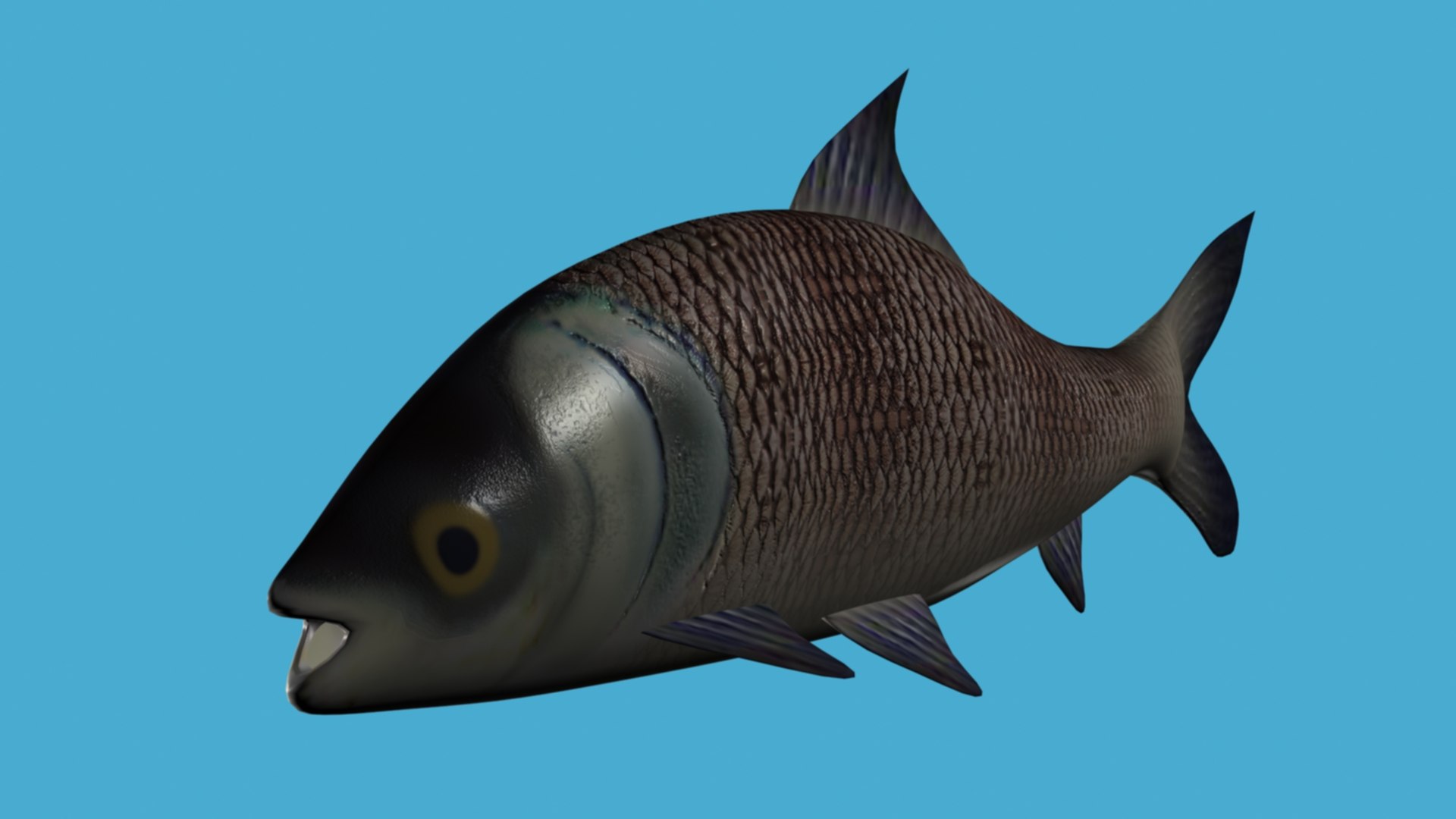 Carp fish pair 3D model - TurboSquid 2043653