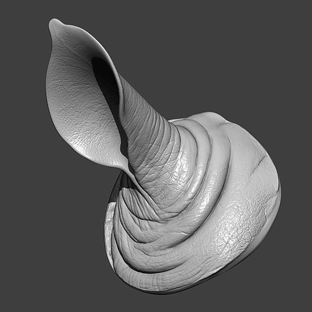 3D Model Rhino Ear Highpoly Sculpt - TurboSquid 1806598