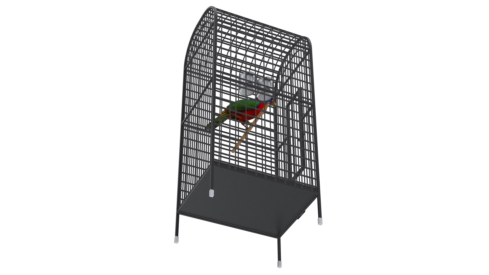 3D Model Bird Cage With Parrot - TurboSquid 2327521