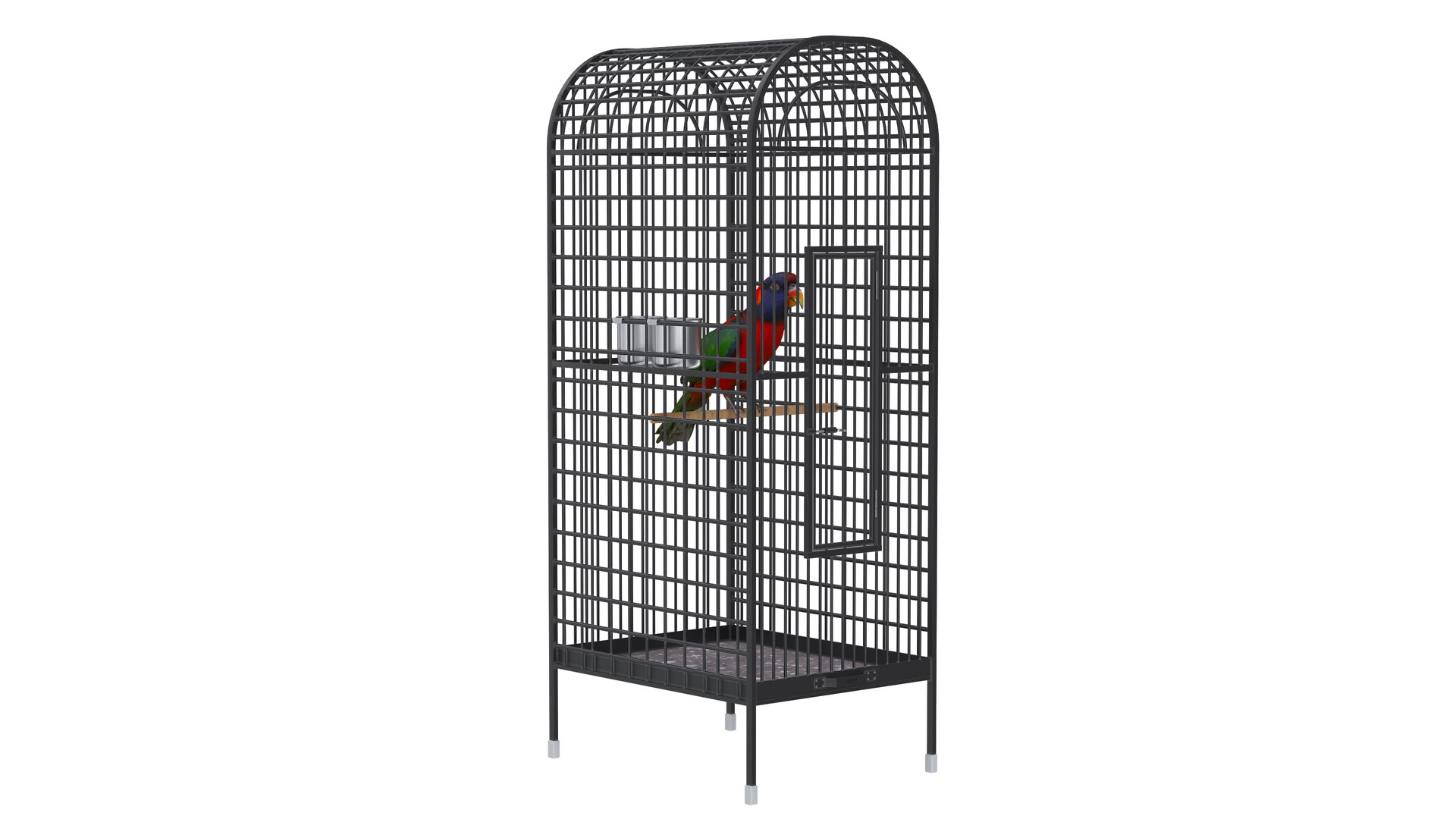 3D Model Bird Cage With Parrot - TurboSquid 2327521