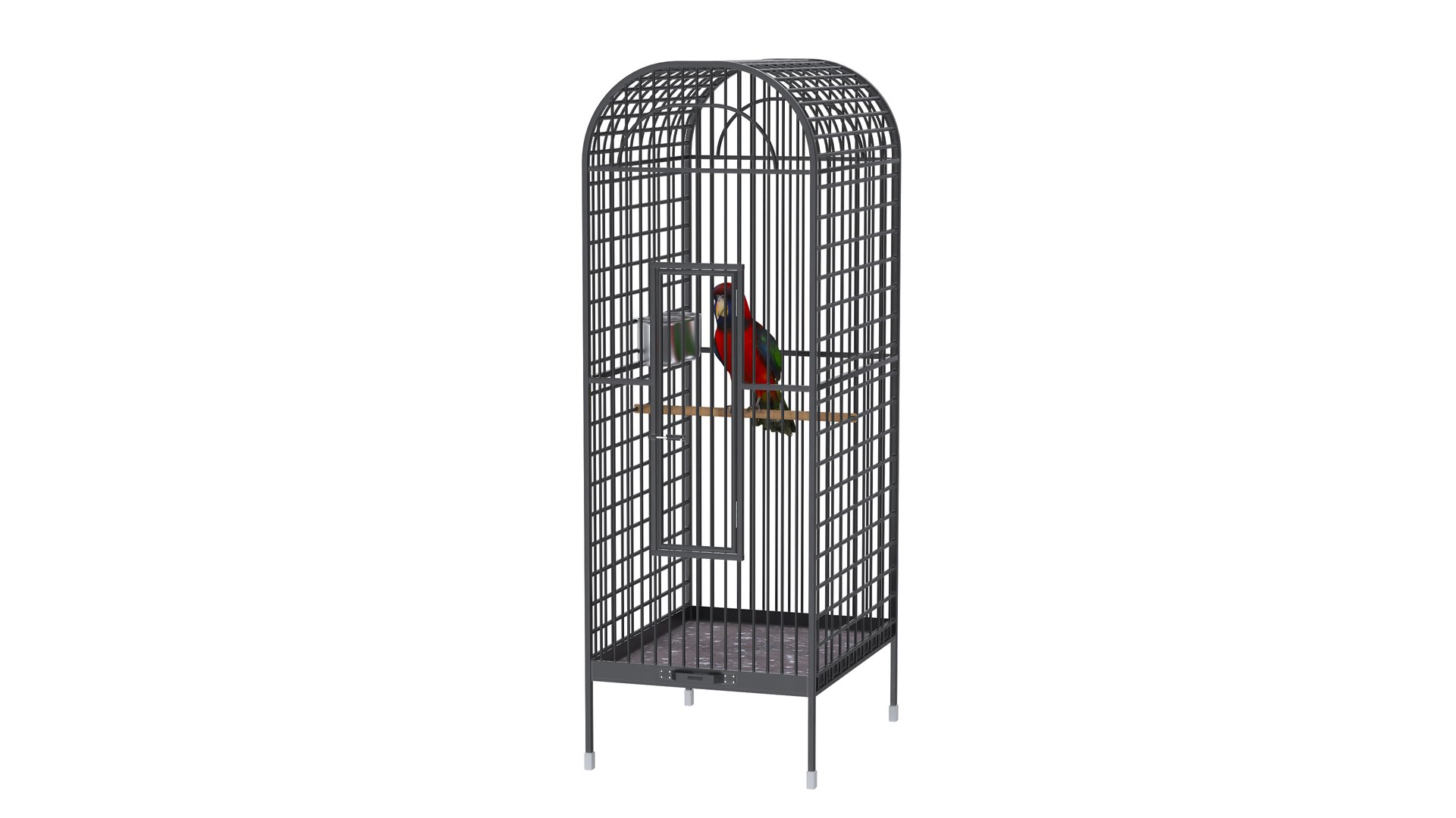 3D Model Bird Cage With Parrot - TurboSquid 2327521