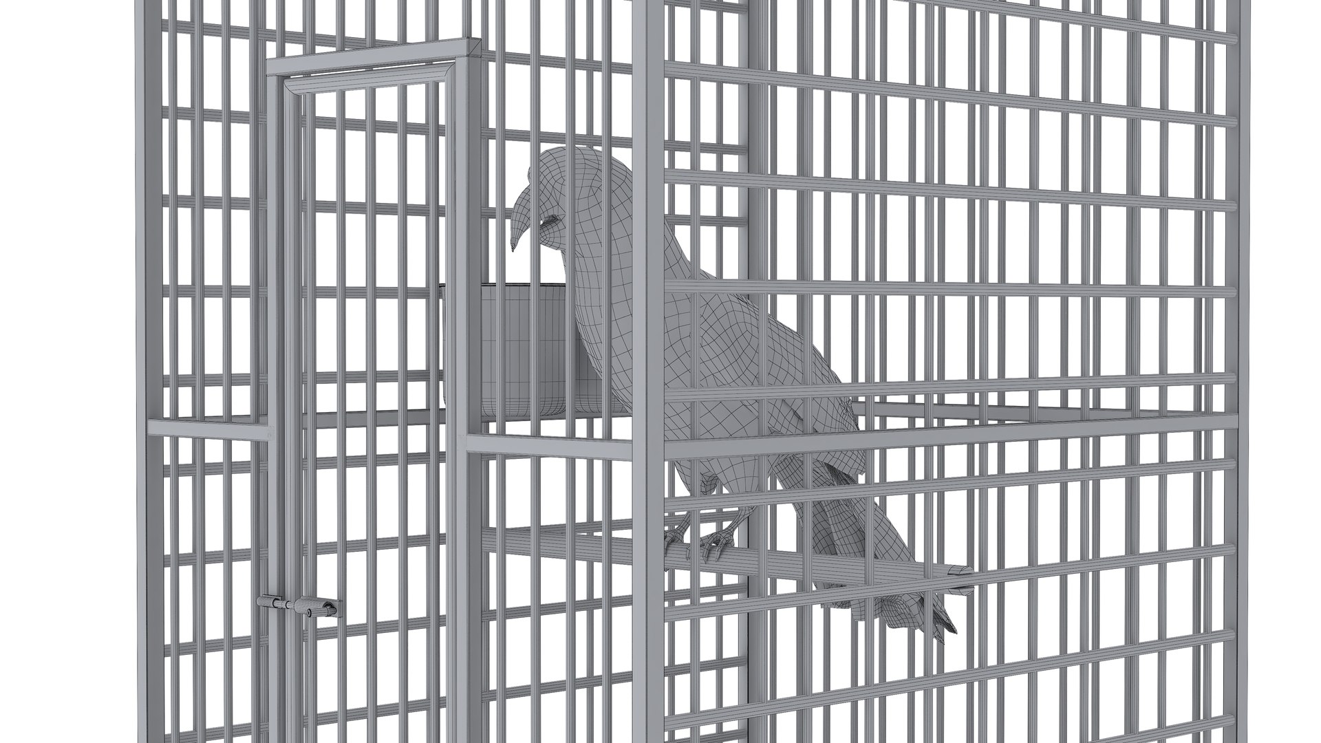 3D Model Bird Cage With Parrot - TurboSquid 2327521