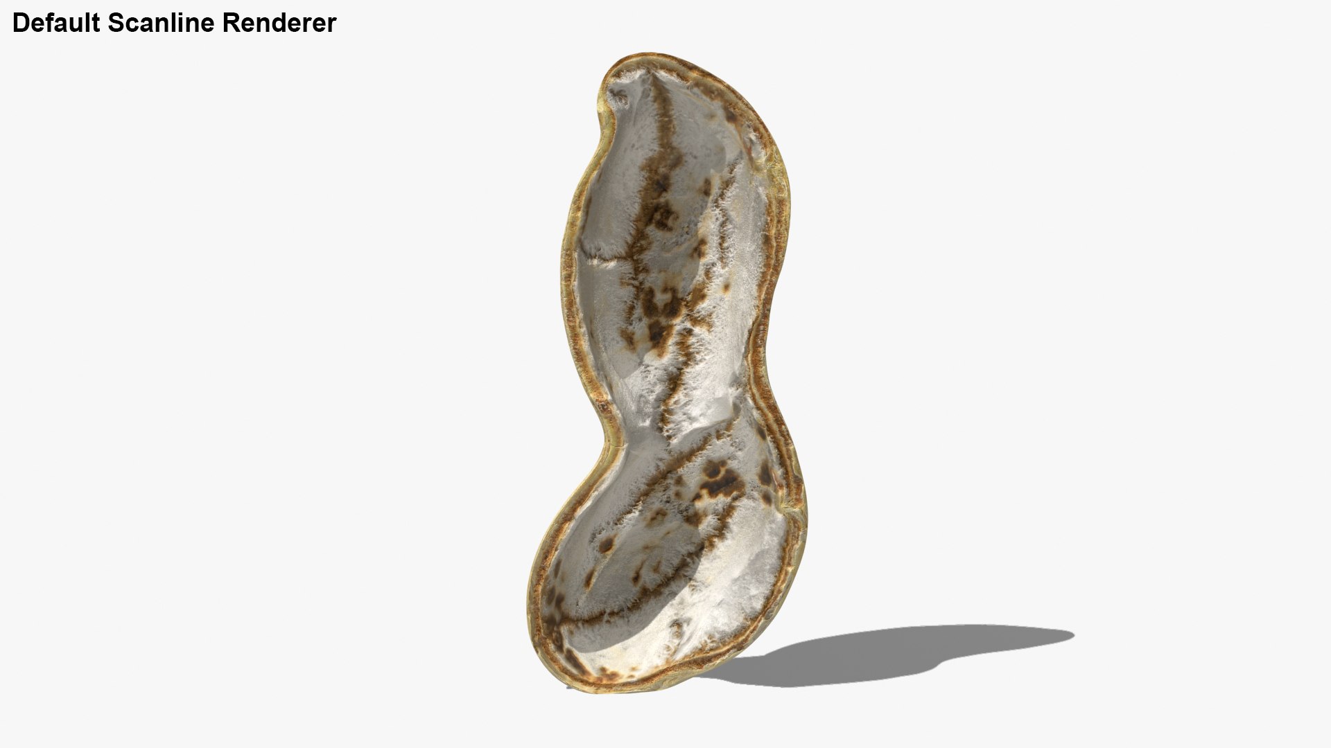 Open Peanut Shell 02 3D Model - TurboSquid 1958913