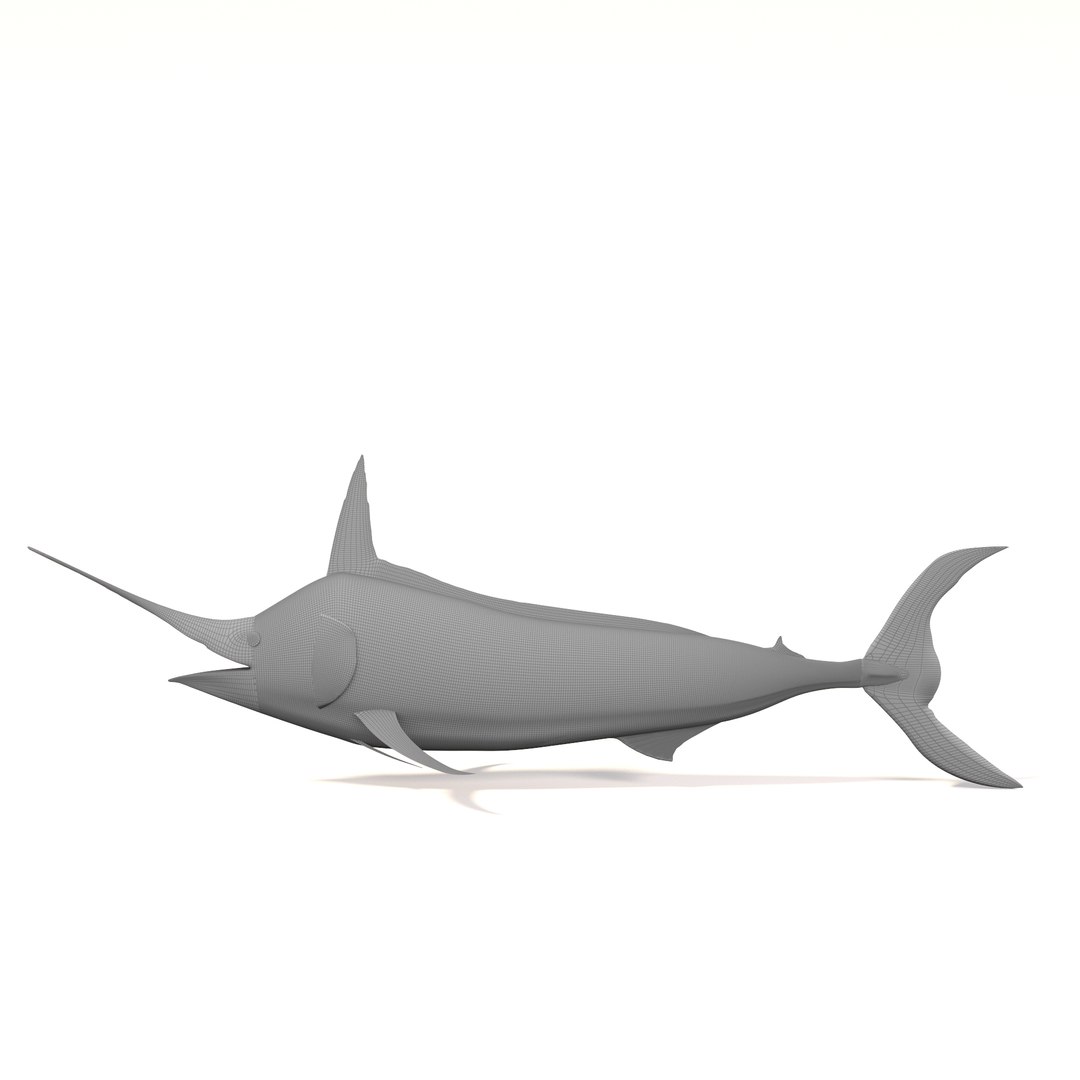 3D Ceramic Swordfish Model - TurboSquid 1894546