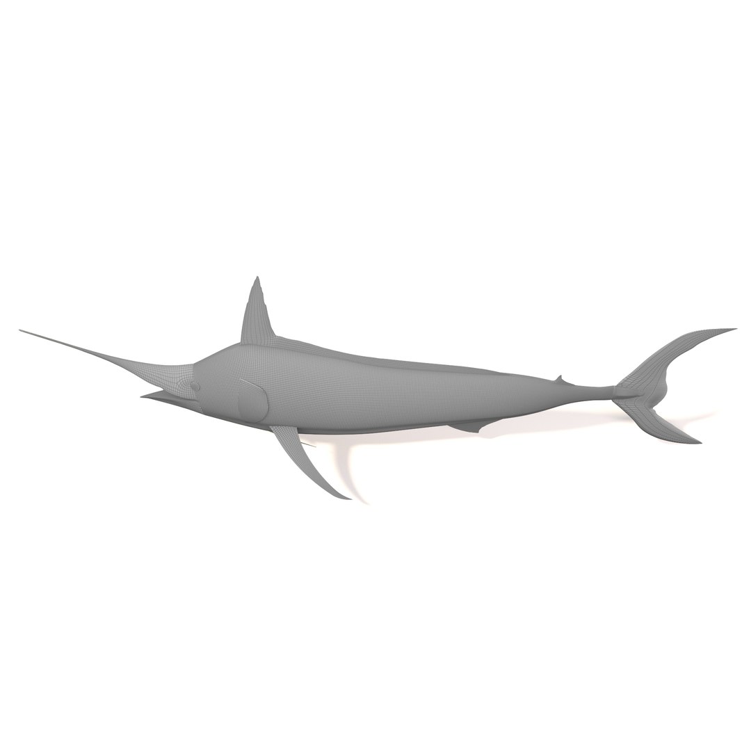 3D Ceramic Swordfish Model - TurboSquid 1894546