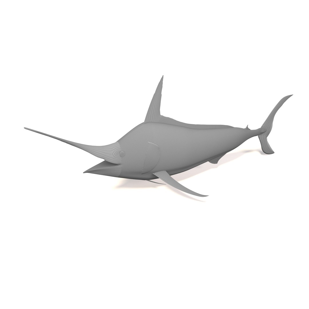 3D Ceramic Swordfish Model - TurboSquid 1894546